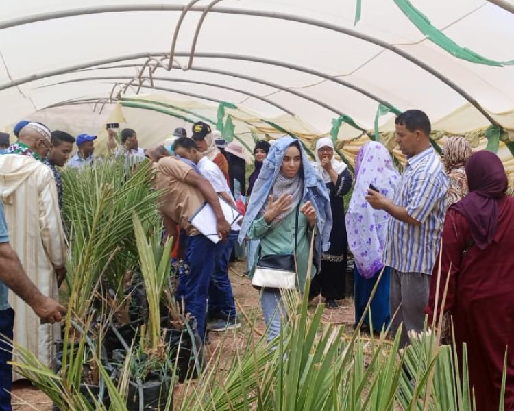 Tazerzite | Colruyt Group Foundation